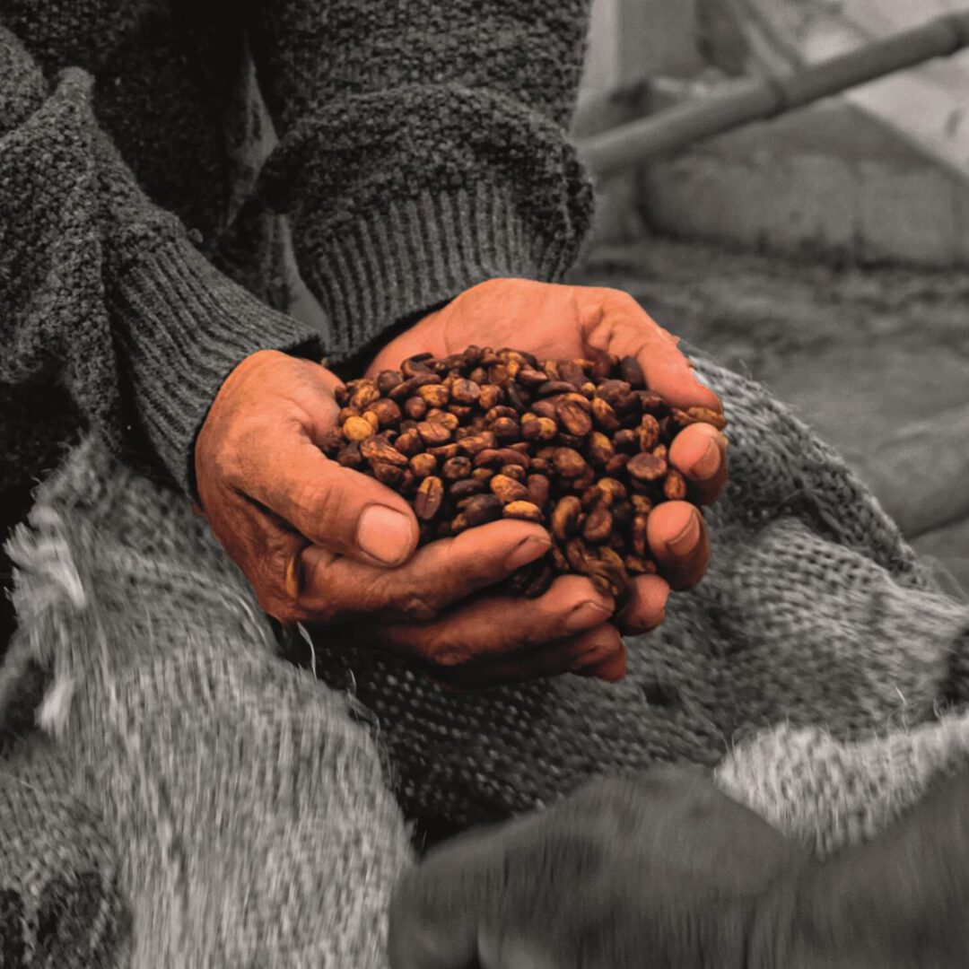 La fascinante historia del Café - Hola Tulum