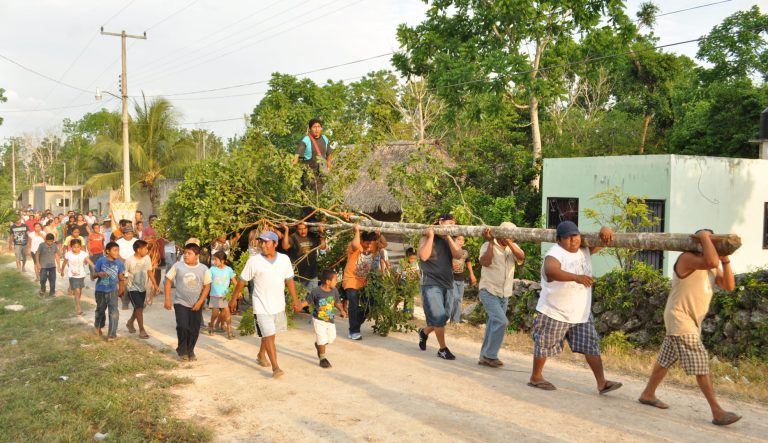 El árbol de Yaxché - Hola Tulum